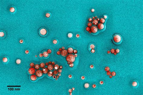The Atomic Force Microscope AFM An Absolute Powerhouse