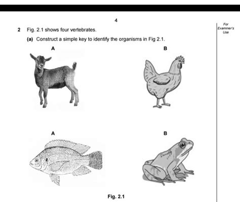 Fig 21 Shows Four Vertebrates A Construct A Simple Key To Identify T
