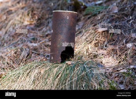 Rusty Beer Can In The Woods Stock Photo Alamy