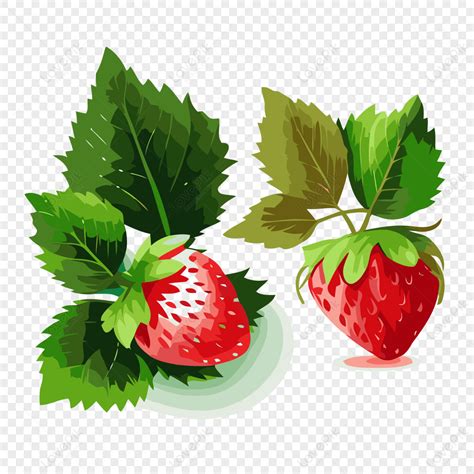 딸기 잎만화클립 아트상표 Png 일러스트 무료 다운로드 Lovepik