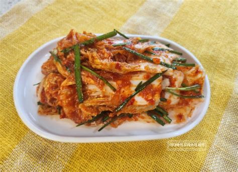 알배추요리 알배추 김치 겉절이 만드는 법