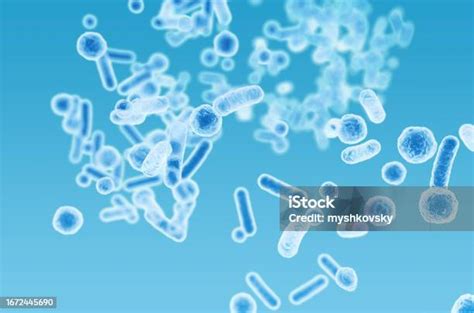 장내 세균 그람 음성 막대 모양의 박테리아 장내 미생물의 일부 및 다른 감염의 원인 물질 3d 렌더링 대장균 Klebsiella Enterobacter 및 기타 현미경에