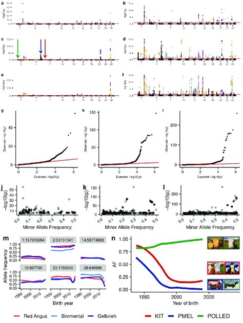 Generation Proxy Selection Mapping Identifies Signals Of Polygenic