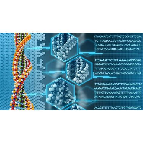 Third Generation Sequencing Market Projected To Witness Massive Growth 2025 2032 Pacbio