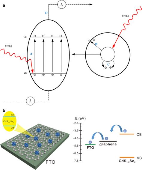 A Schematic Illustration Of Semiconductor CdS XSex Photo Generated Download Scientific Diagram