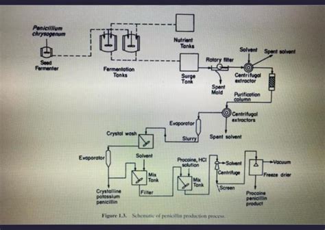 Solved Explain This Flowchart Chegg