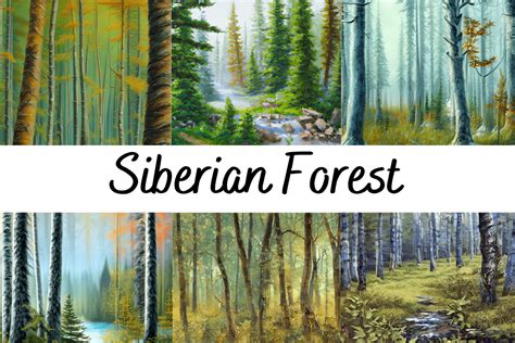 Siberian Forest Graphic By Printyourart · Creative Fabrica