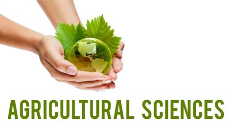 Unraveling Dbscan The Machine Learning Algorithm Transforming Data