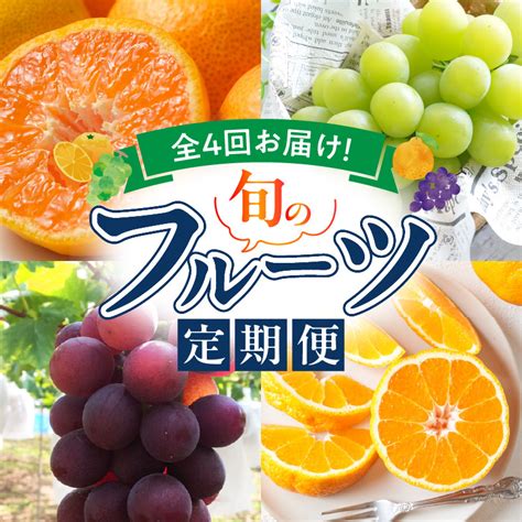 G60 T73 【定期便全4回】紀州和歌山産旬のフルーツセット 種なし巨峰・シャイン・みかん・不知火 和歌山県湯浅町 Jre Mallふるさと納税