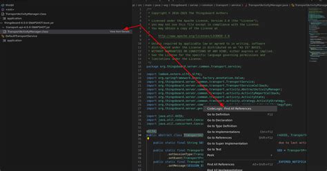 finding connections from vscode codelogic documentation