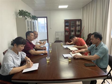 县人大调研组到新墟镇调研“百县千镇万村高质量发展工程”工作 阳西县人民政府网站