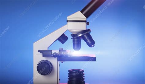 Light Microscope Stock Image F021 4671 Science Photo Library