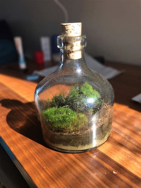 My New Project” Scrolller