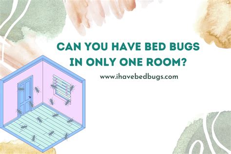 Can You Have Bed Bugs In Only One Room