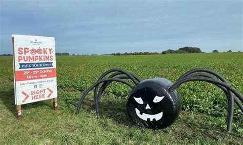 Pumpkin Patches In Suffolk The Best Places To Pick Pumpkins In 2024