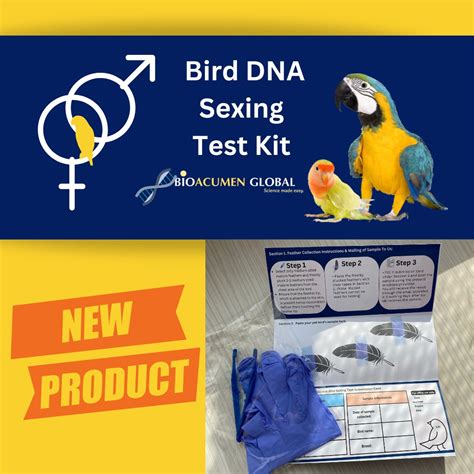 Our Bird Sexing Dna Test Kit Is Bioacumen Global Pte Ltd Facebook
