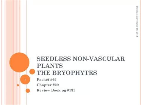 PPT SEEDLESS NON VASCULAR PLANTS THE BRYOPHYTES PowerPoint Presentation ID