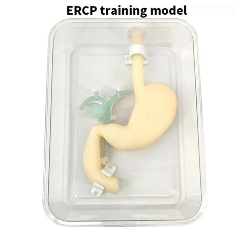 Gastroscope Ercp Scope Training Model For Gastroduodenal And Biliary Gastroscope Ercp Scope Training Model For Gastroduodenal And Biliary