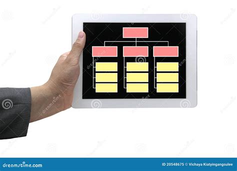 Empty Organization Chart Online Stock Image Image Of Pointing Engineer 20548675