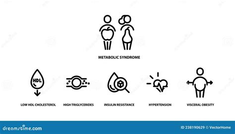 Symptoms Of Metabolic Syndrome Vector Icon Line Color Vector