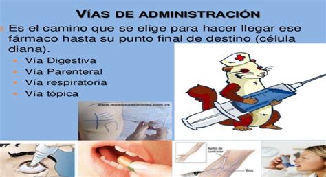 NutriciÓn Y Farmacologia Formas De PresentaciÓn De FÁrmacos