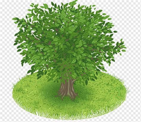 Tree Grass Desktop Wallpaper Digital Image Png PNGWing