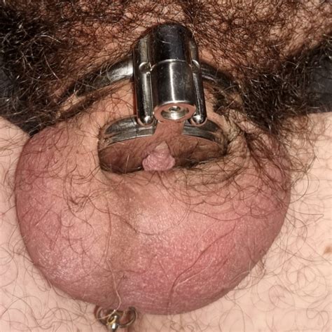 My New Chastity Cage 20 Pics Xhamster