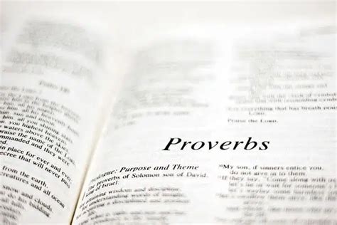 Popular Proverbs Verses About Life Love And Wisdom