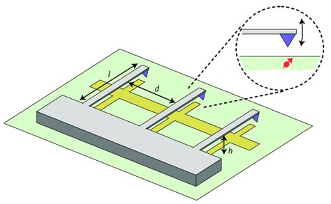 Schematic View Of A Scalable Quantum Information Processor On An Download Scientific Diagram