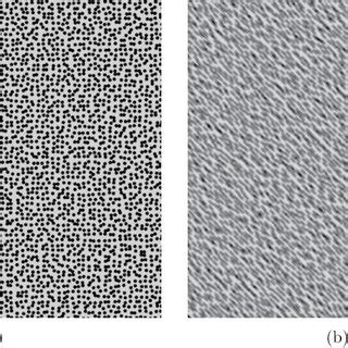 Input Of The Deconvolution Algorithm A Reference Frame And A Blurred Download Scientific