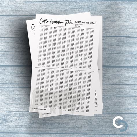 Dairy Cow Gestation Chart At Mason Jaques Blog