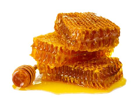 What Is Honey Education A Honey