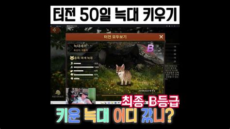 [울프게임 더와일드킹덤] 터전50일 새끼늑대 키우기 최종등급 B 울프게임 Slg Youtube