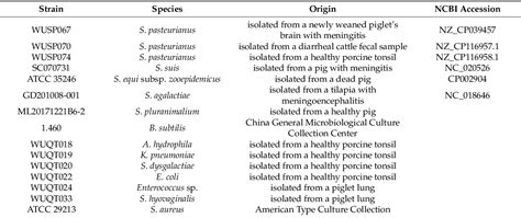 Table 1 From The Identification Of Streptococcus Pasteurianus Obtained From Six Regions In China