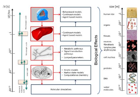 Schematic Representation Of A Multi Scale Methodology For Modelling The