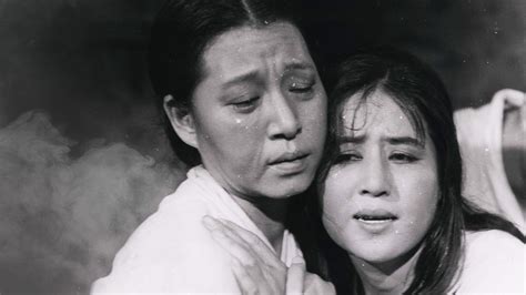 Evergreen Tree 1961 Plex