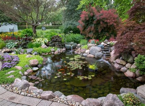 Koi Pond