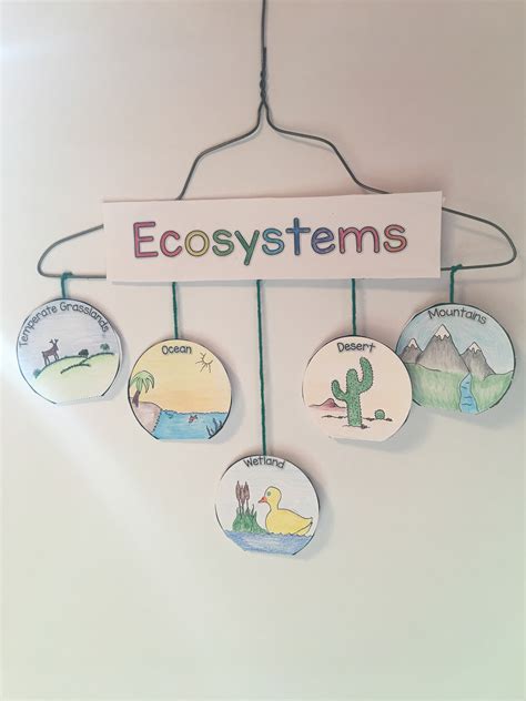 Ecosystems And Biomes Project Ecosystems Mobile Activity Classful