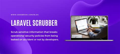 Codebrisk Laravel Framework Developers Scrub Sensitive Information