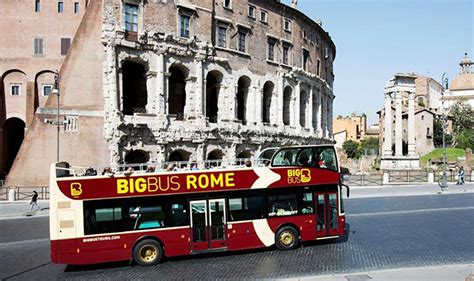 로마 빅버스 시티투어 123일권