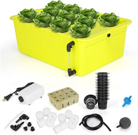 Growneer 11 Sites Hydroponics Grower Kit Household Dwc Hydroponic