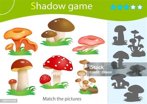 아이들을위한 그림자 게임 올바른 그림자를 일치시다 숲 버섯의 색상 이미지 아가릭 살구 꿀 을 날아라 어린이와 미취학 아동을위한 워크 시트 벡터 디자인 0명에 대한 스톡 벡터