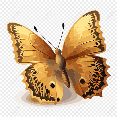 Gambar Kupu Kupu Emas Vektor Stiker Kartun Png Unduh Gratis Lovepik