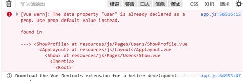 The Data Property “user“ Is Already Declared As A Prop Use Prop