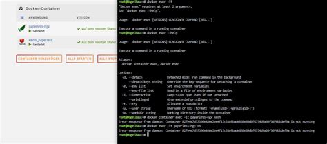 Konsole im Docker Container öffnet schließt innerhalb einer sekunde