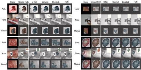 Figure A 1 Qualitative Generalization Performance Comparison Of Download Scientific Diagram