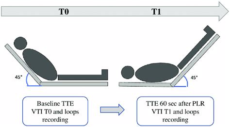 Time Point Schedule And Echocardiography Protocol Tte Trans Thoracic Download Scientific