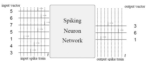 5 Schematic Sketch Of The Temporal Coding Principle For Encoding And