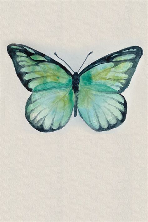Watercolor Butterfly For Beginners Grumbacher Art