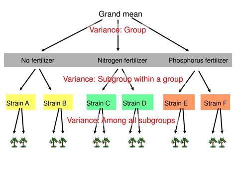 Ppt Fixed Random Mixed Model Anovas Factorial Vs Nested Designs Formal Design Notation